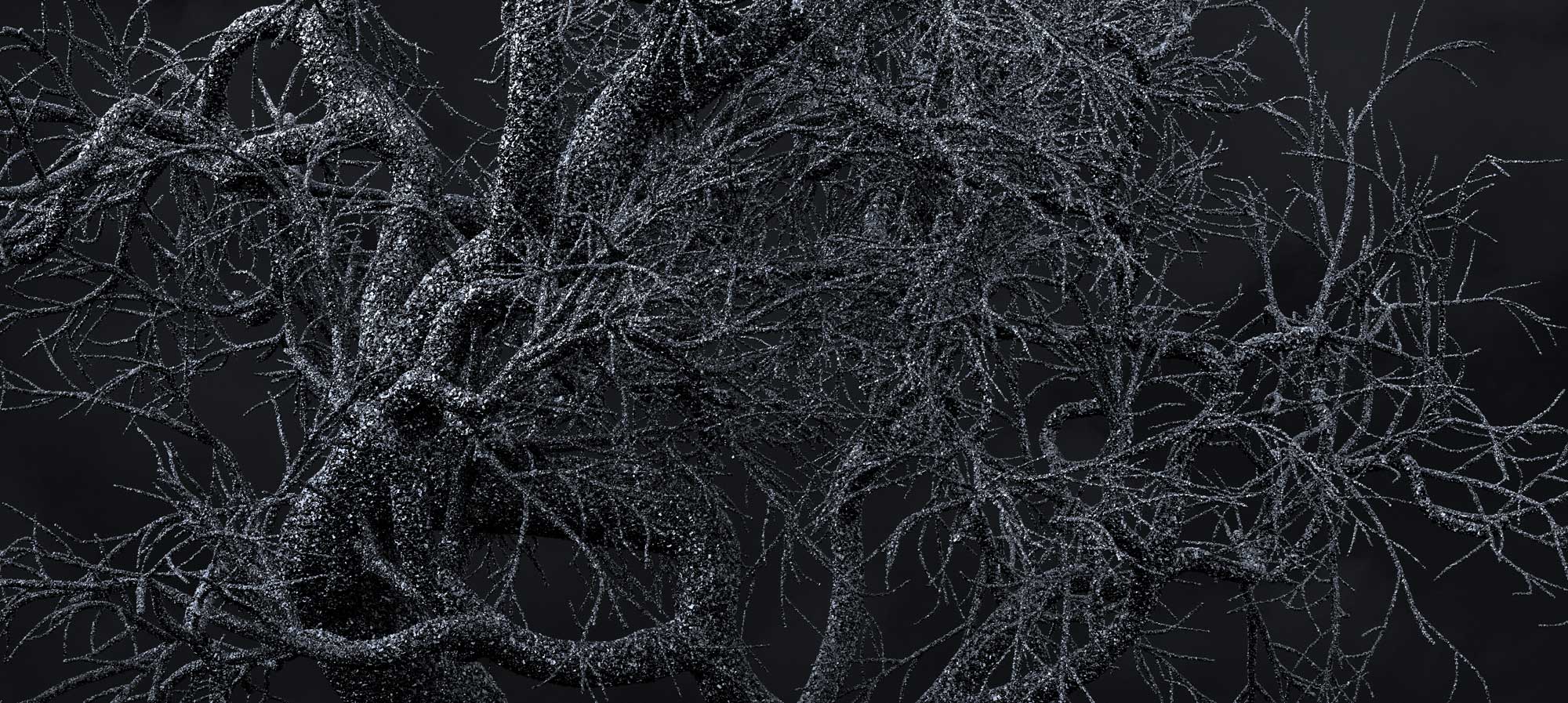 News | KELLY RICHARDSON