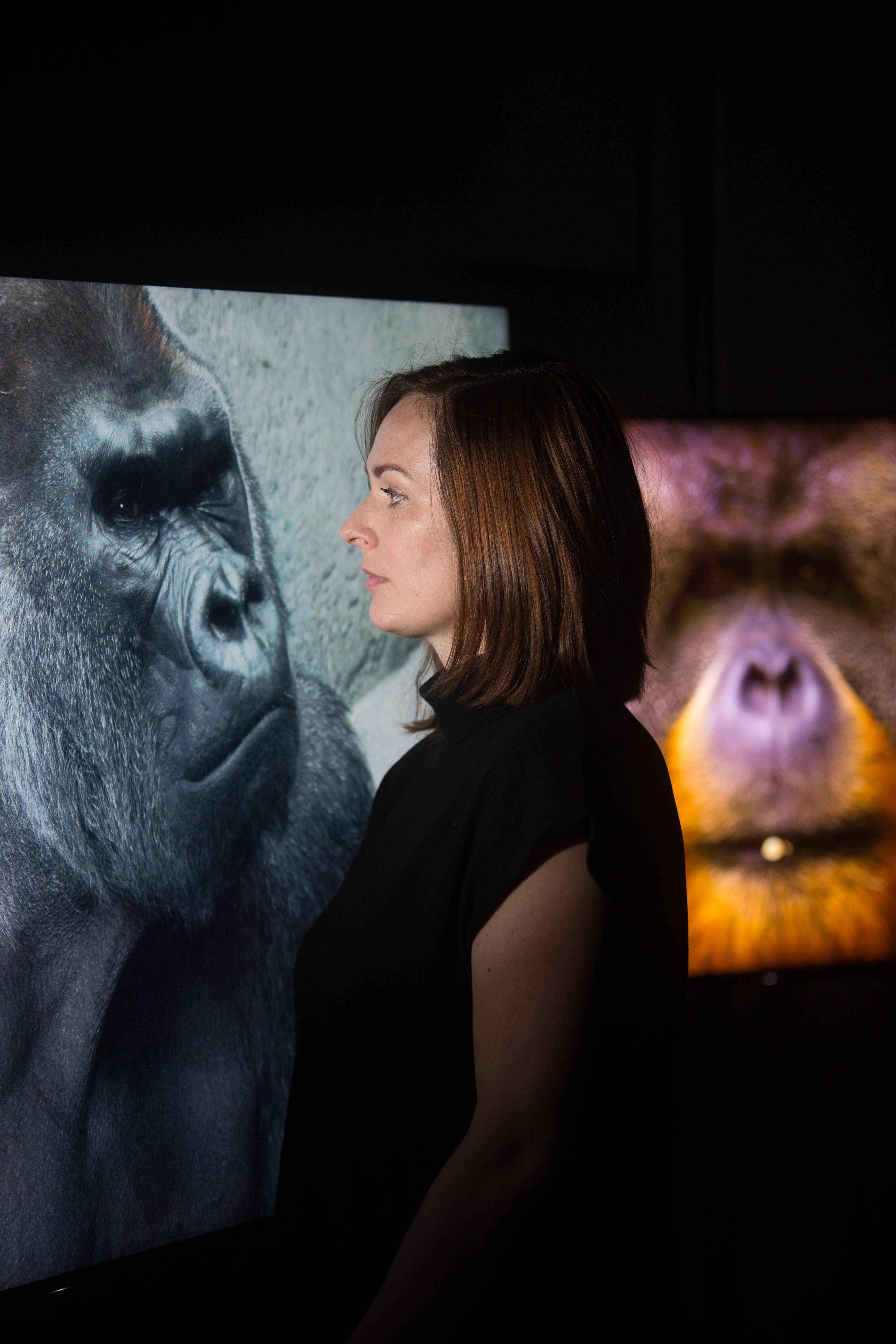 Exhibitions | KELLY RICHARDSON