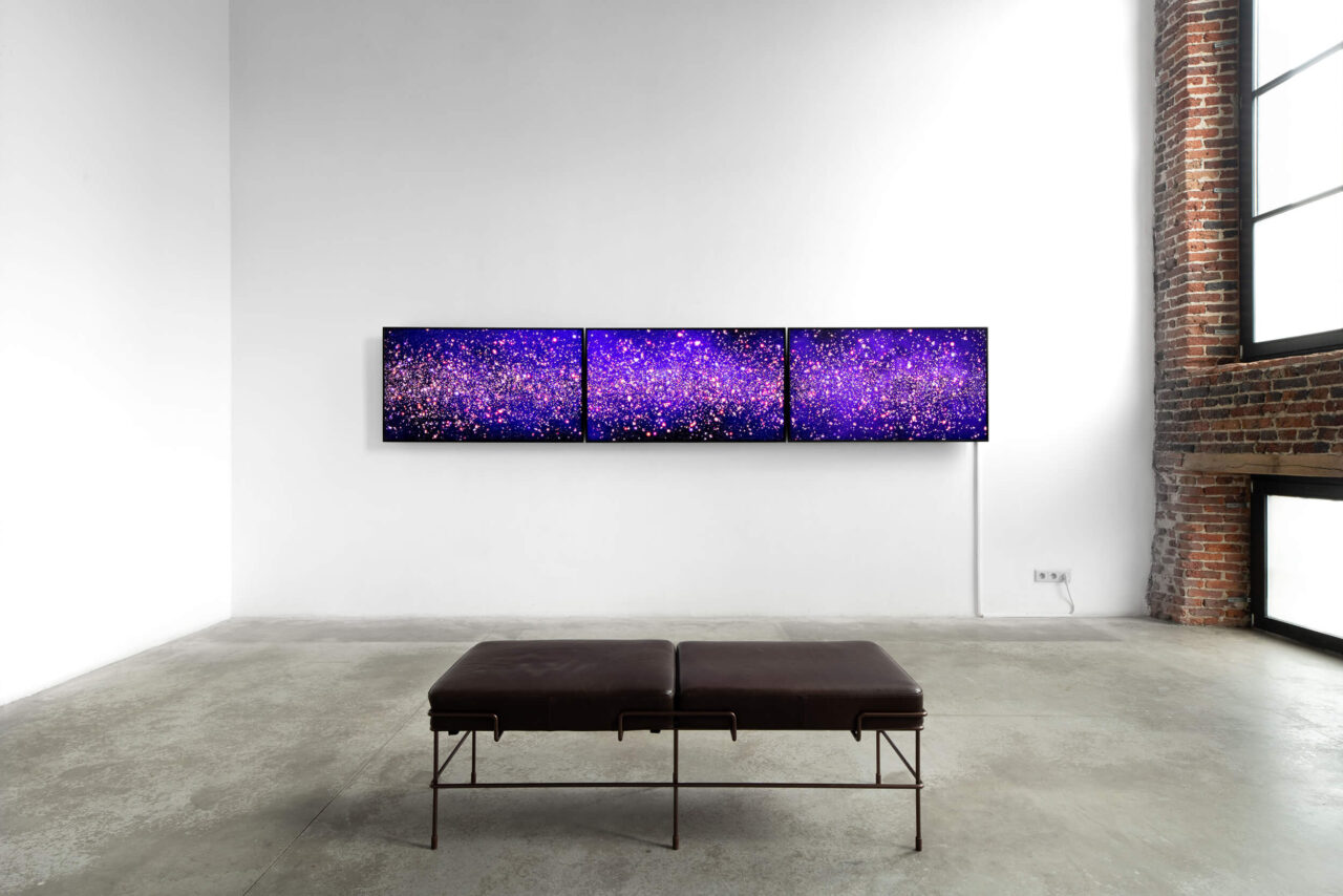 EXPANDED.ART | KELLY RICHARDSON